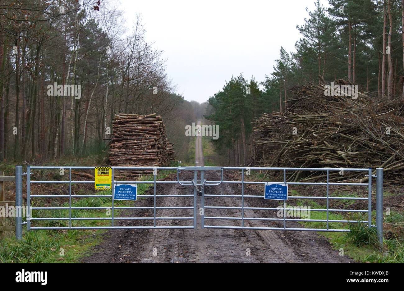 Logging signs hi-res stock photography and images - Alamy