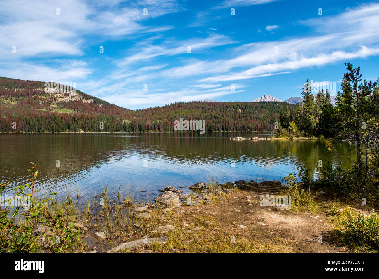 River in Alberta mountains Stock Photo - Alamy