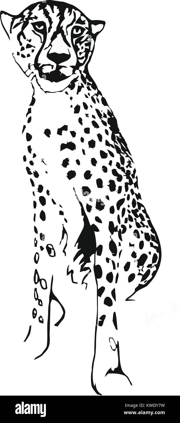 Cheetah big spotted cat Stock Vector Images - Alamy