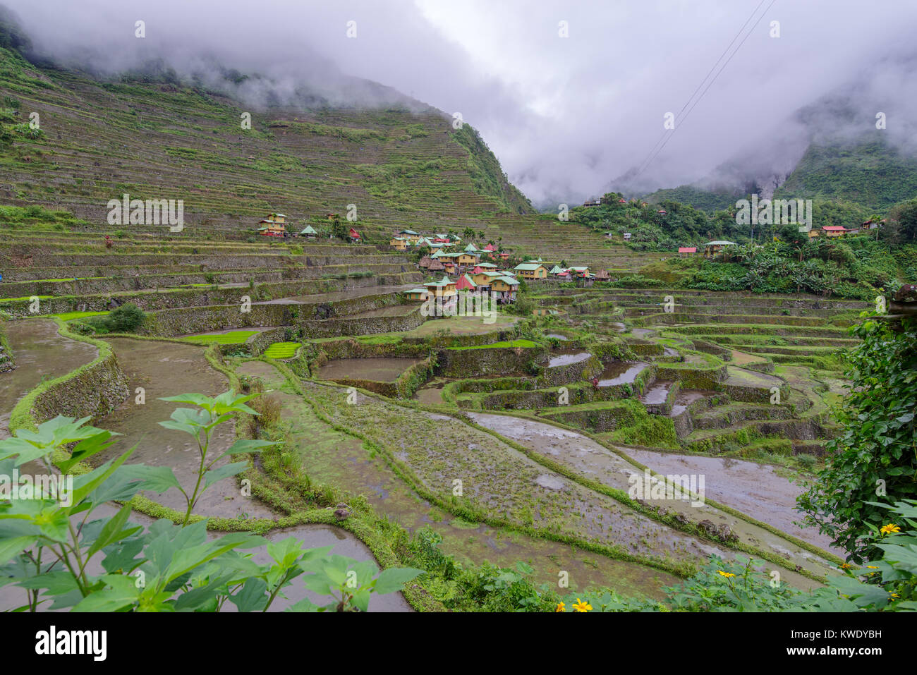 beautiful landscape Batad rice terrace in Banaue, Philippines Stock ...