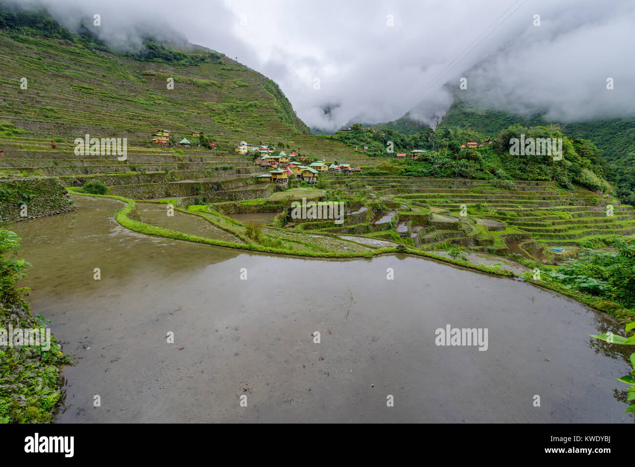 beautiful landscape Batad rice terrace in Banaue, Philippines Stock ...