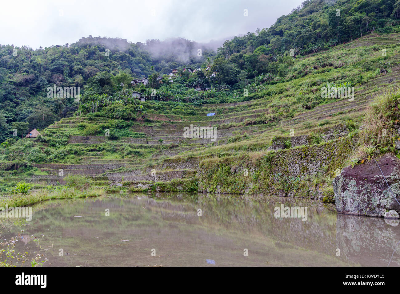 beautiful landscape Batad rice terrace in Banaue, Philippines Stock ...