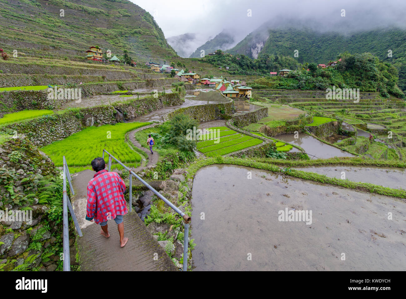 people walking at Batad rice terrace in Banaue, Philippines Stock Photo ...