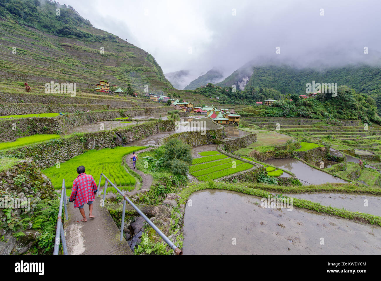 people walking at Batad rice terrace in Banaue, Philippines Stock Photo ...