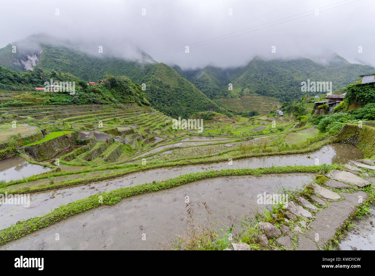 beautiful landscape Batad rice terrace in Banaue, Philippines Stock ...