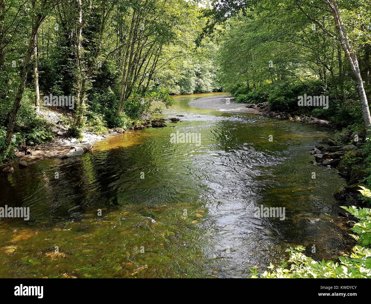 Crystal clear river in Ketchikan, Alaska Stock Photo - Alamy
