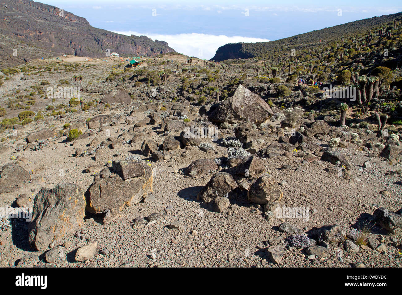 Barranco camp on Mt Kilimanjaro Stock Photo - Alamy