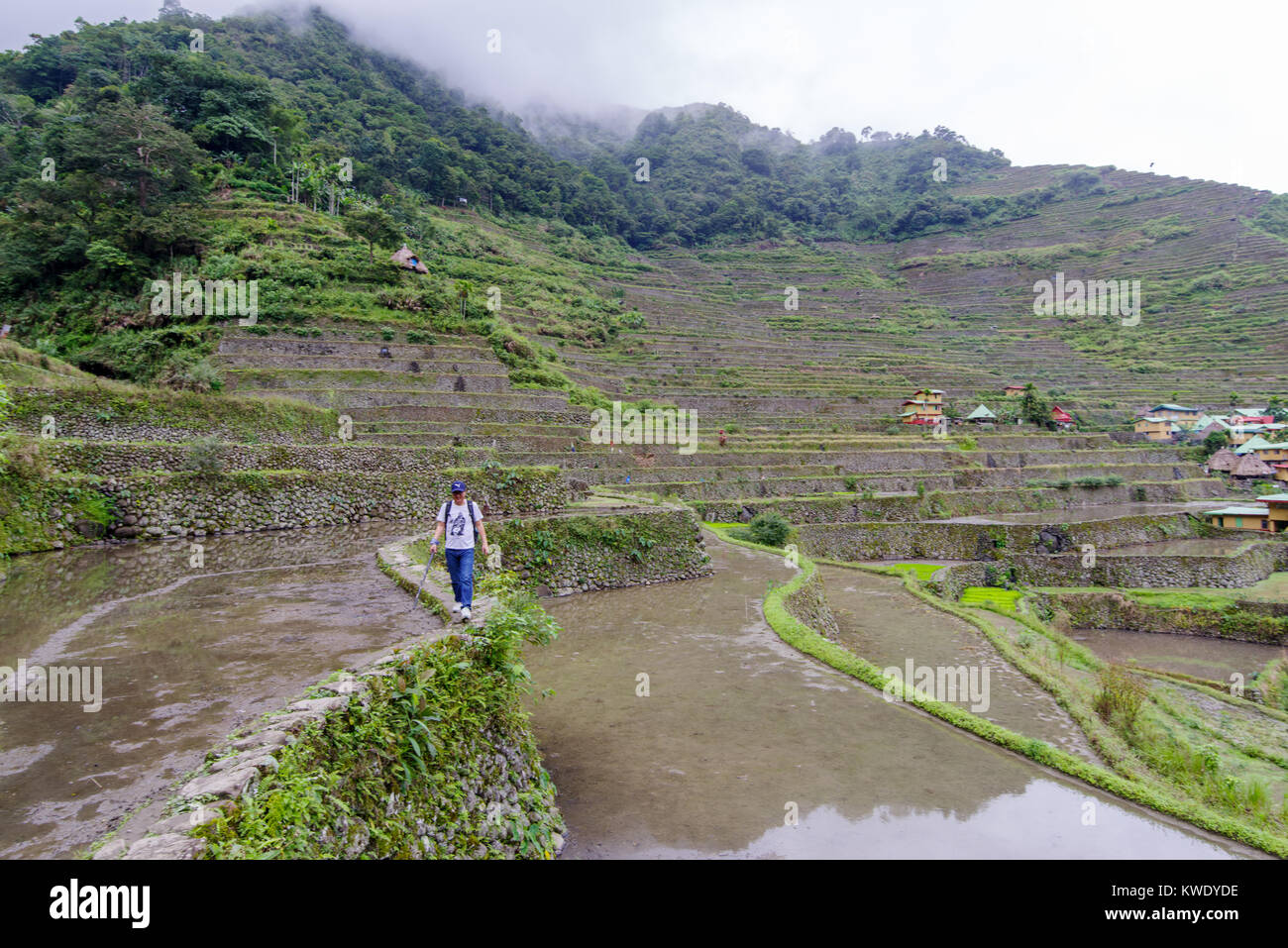 Dec 31,2017 tourist walking at Batad rice terrace in Banaue ...