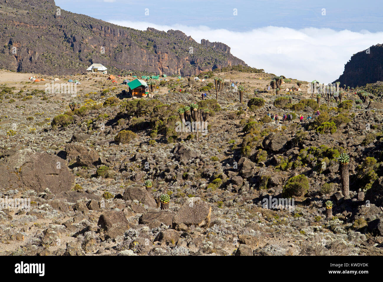 Barranco camp on Mt Kilimanjaro Stock Photo - Alamy