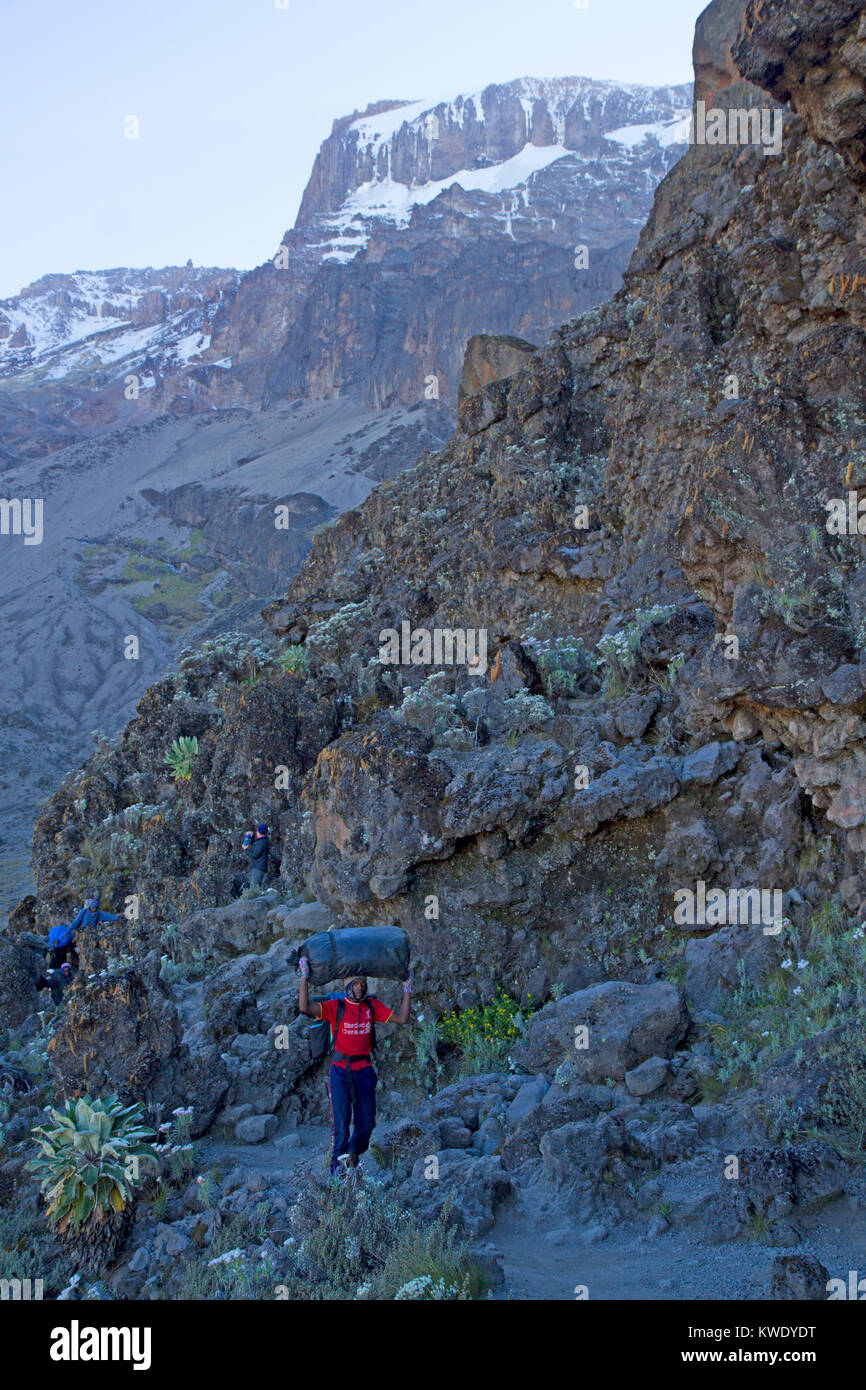 Porters on the Barranco Wall on Mt Kilimanjaro Stock Photo - Alamy