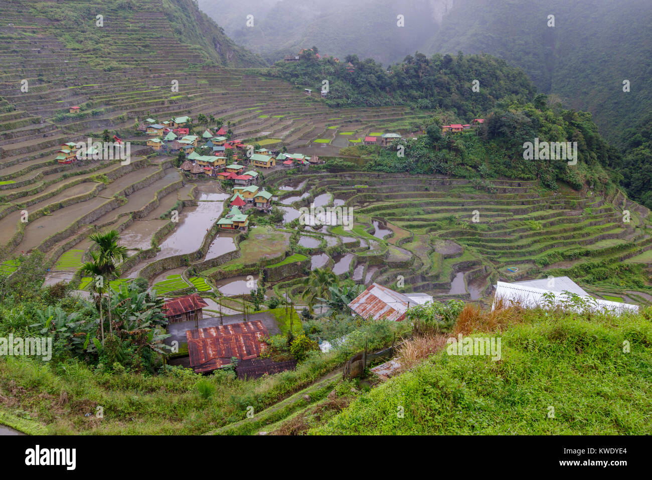 beautiful landscape Batad rice terrace in Banaue, Philippines Stock ...