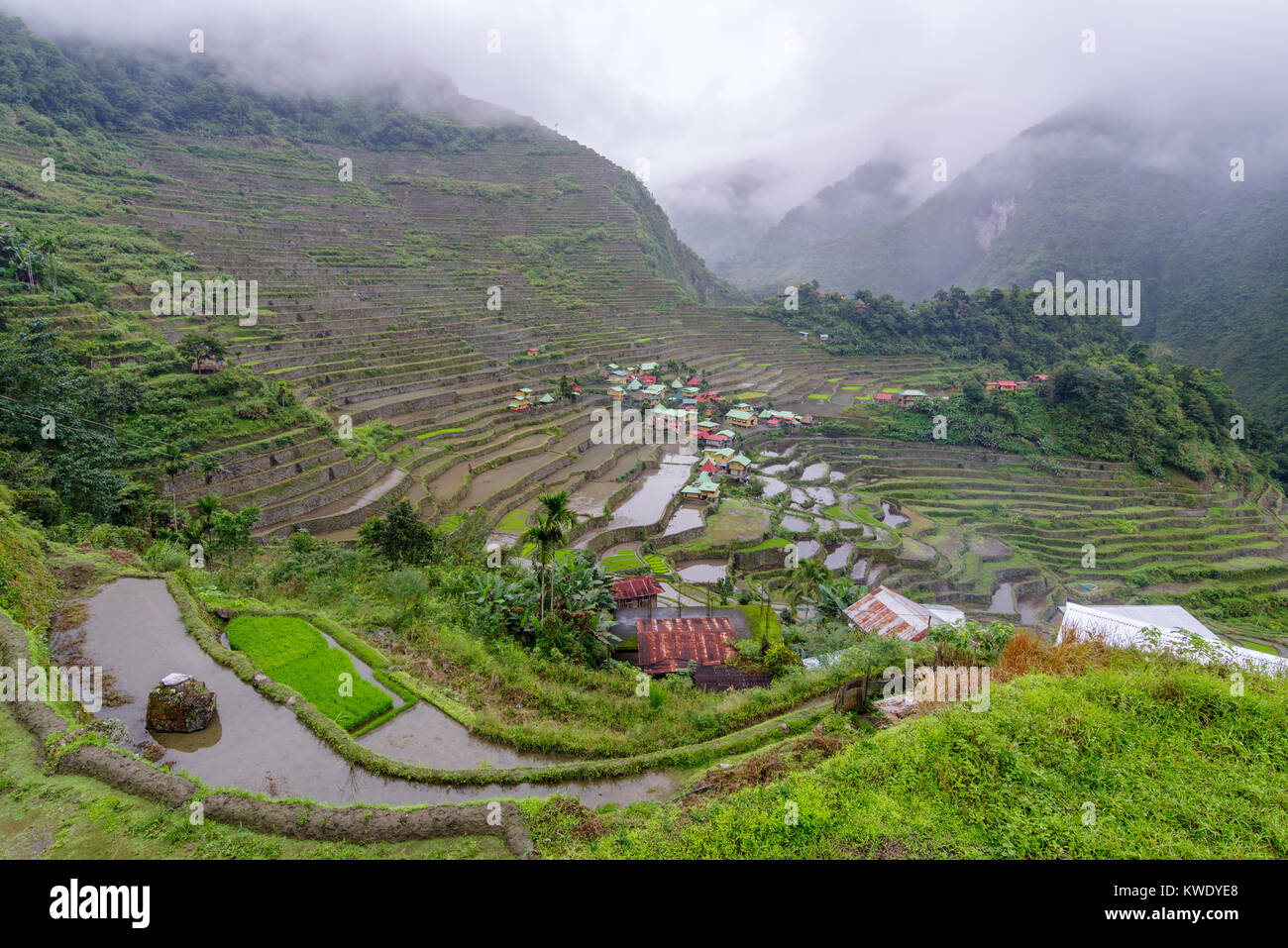 beautiful landscape Batad rice terrace in Banaue, Philippines Stock ...