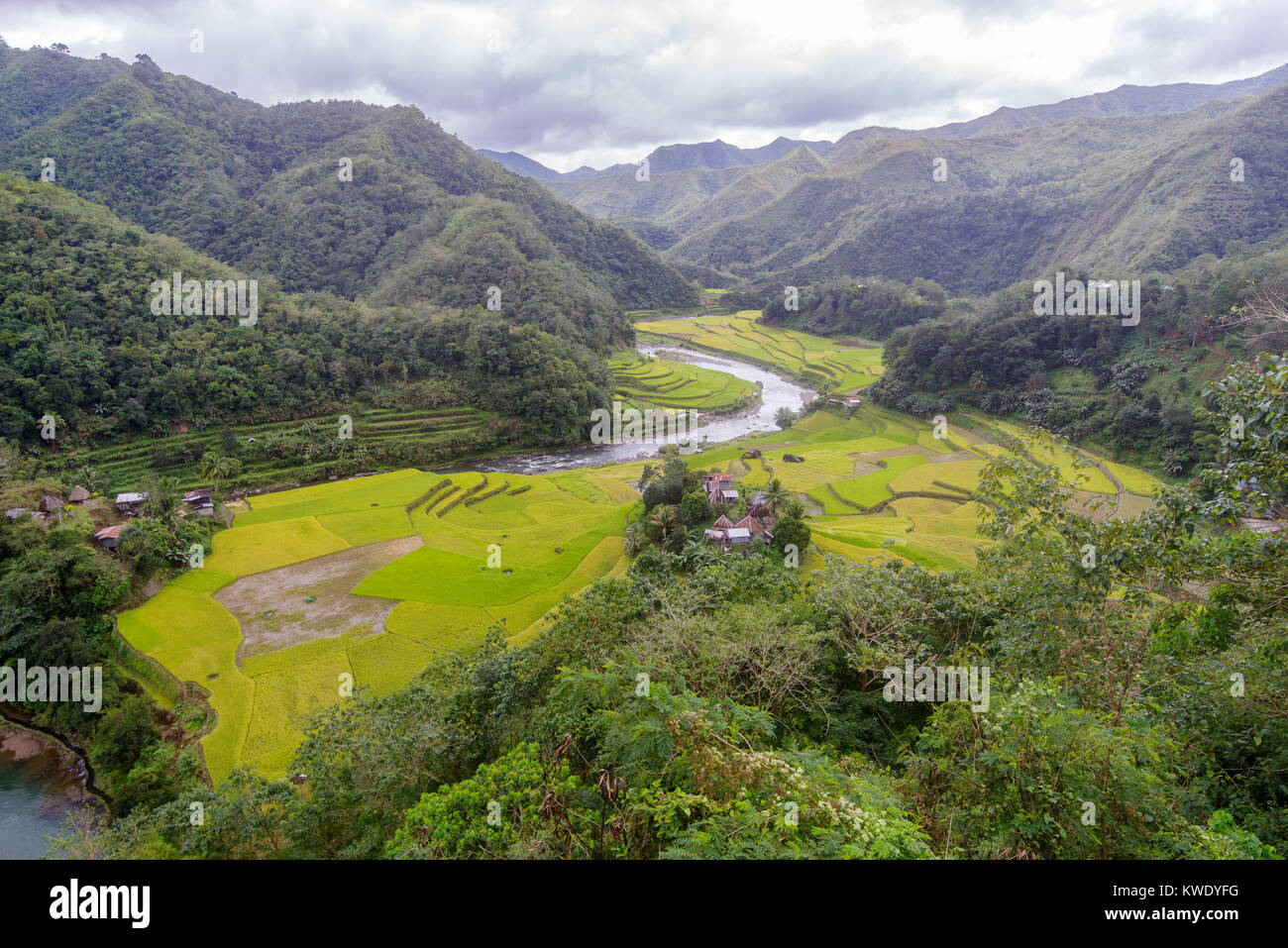beautiful river and rice field in Banaue , Philippines Stock Photo - Alamy