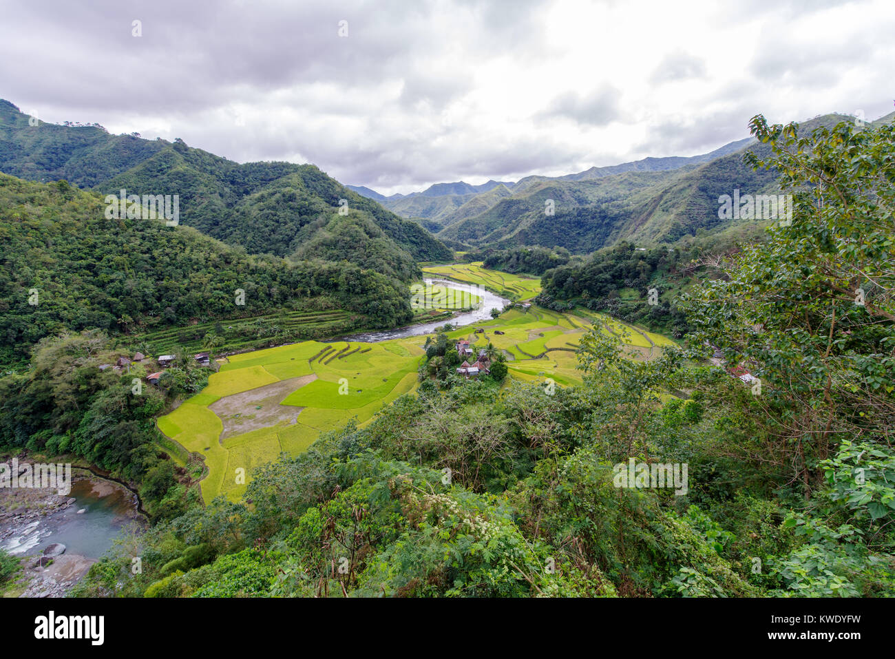 beautiful river and rice field in Banaue , Philippines Stock Photo - Alamy