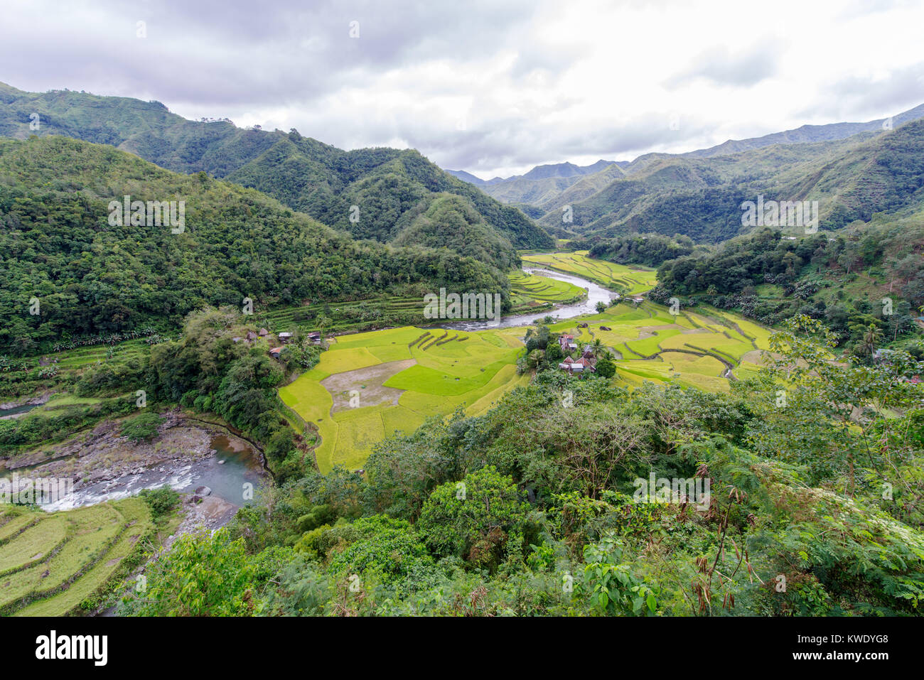 Rice field in the philippines hi-res stock photography and images - Alamy