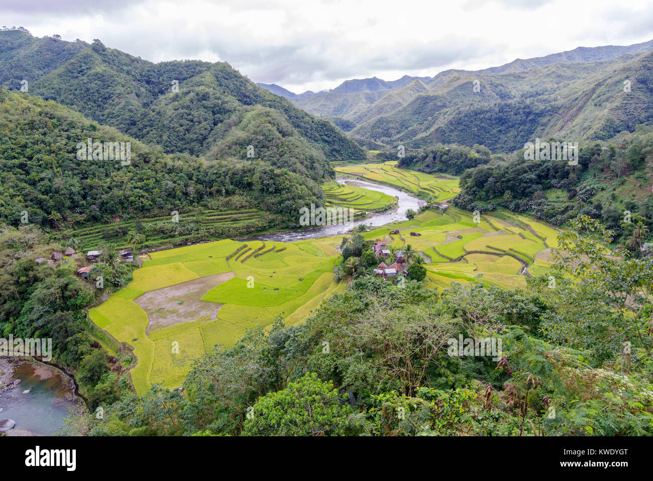 beautiful river and rice field in Banaue , Philippines Stock Photo - Alamy