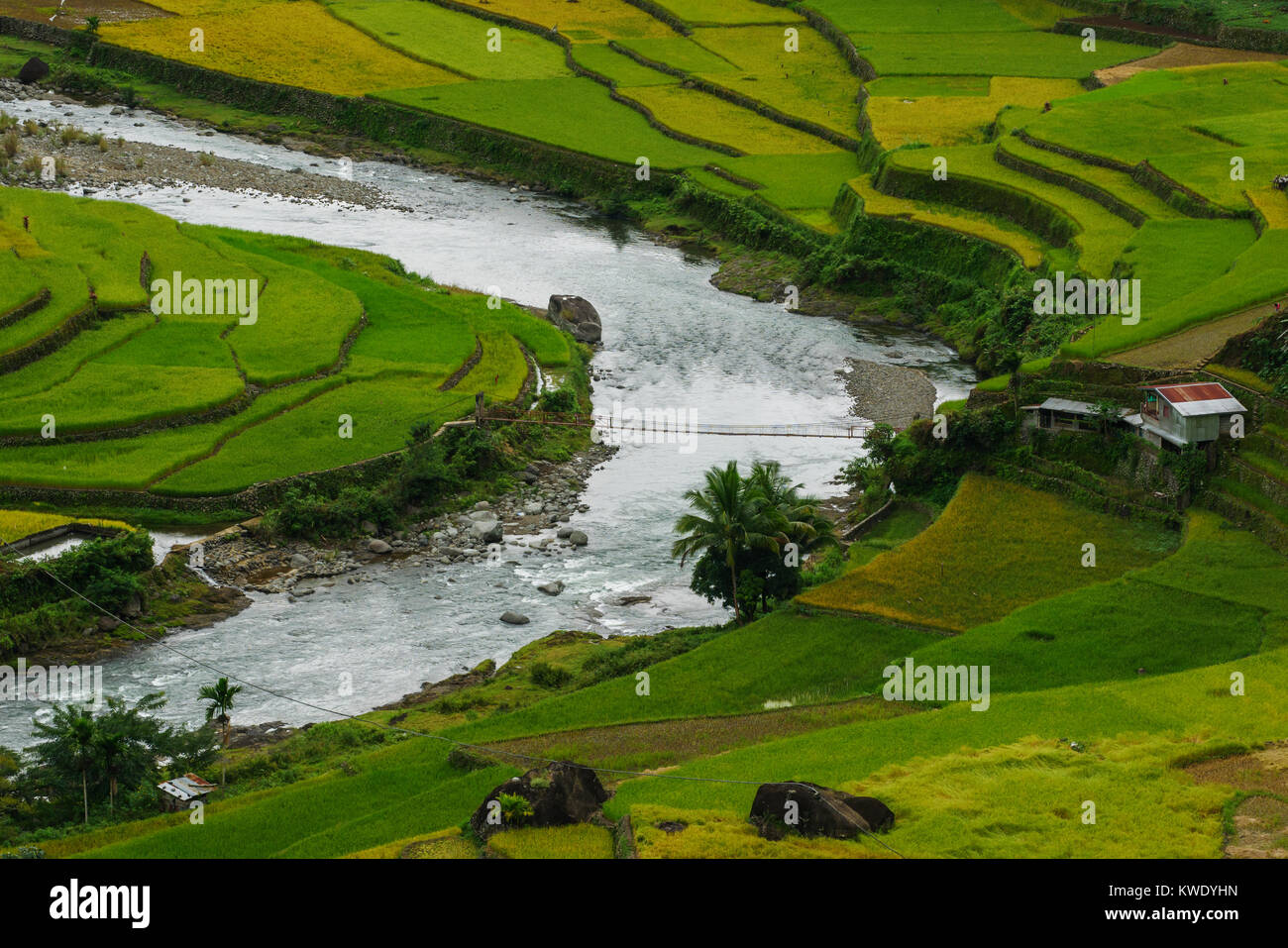 beautiful river and rice field in Banaue , Philippines Stock Photo - Alamy