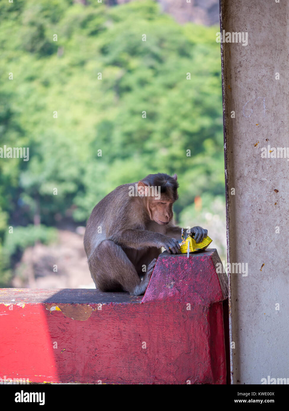 Ratnagiri maharashtra hi-res stock photography and images - Alamy