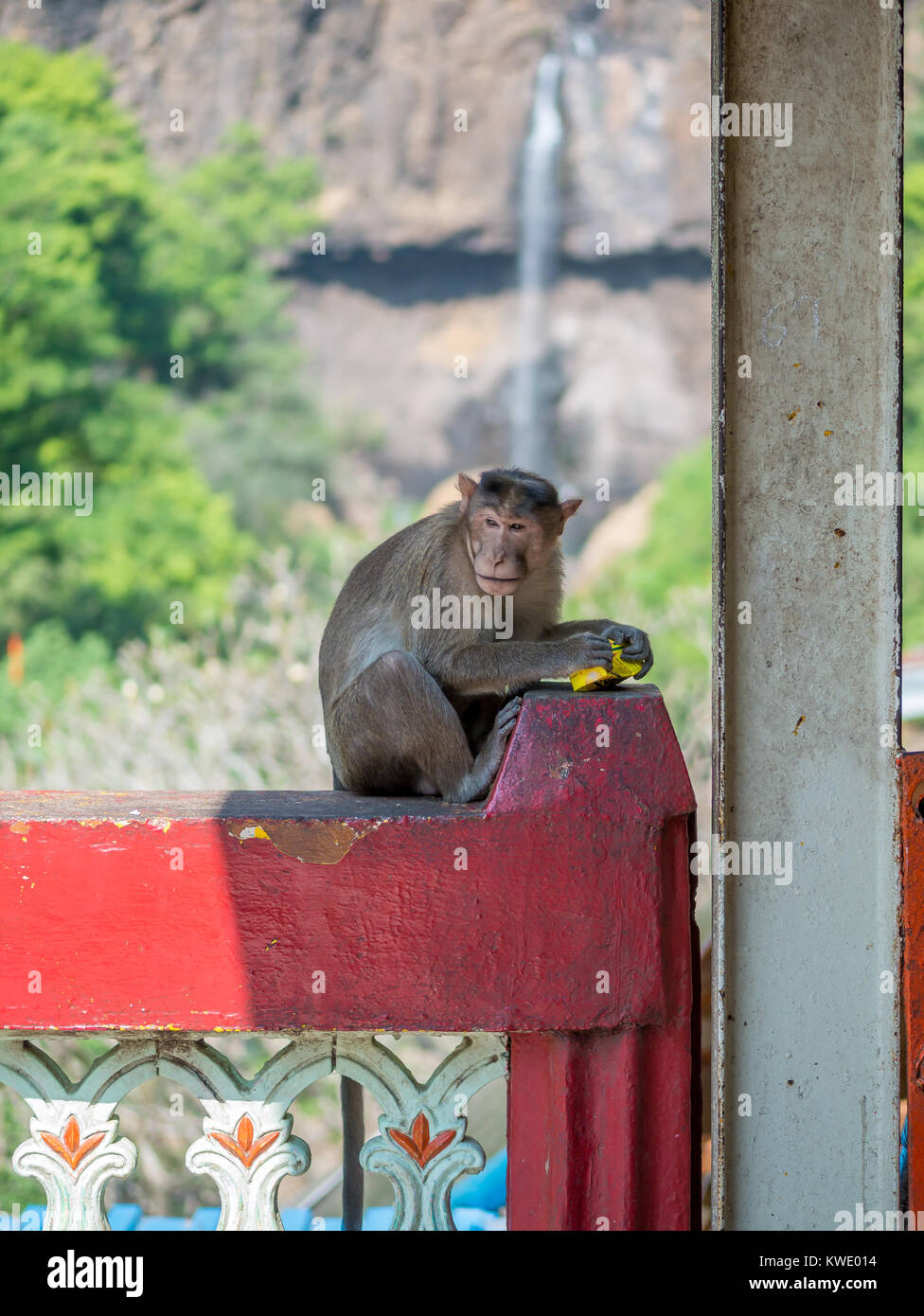 Ratnagiri maharashtra hi-res stock photography and images - Alamy