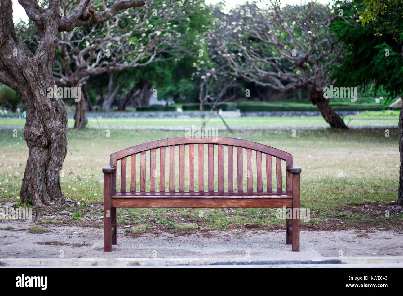 The Bench with backrest roadside in park Stock Photo - Alamy