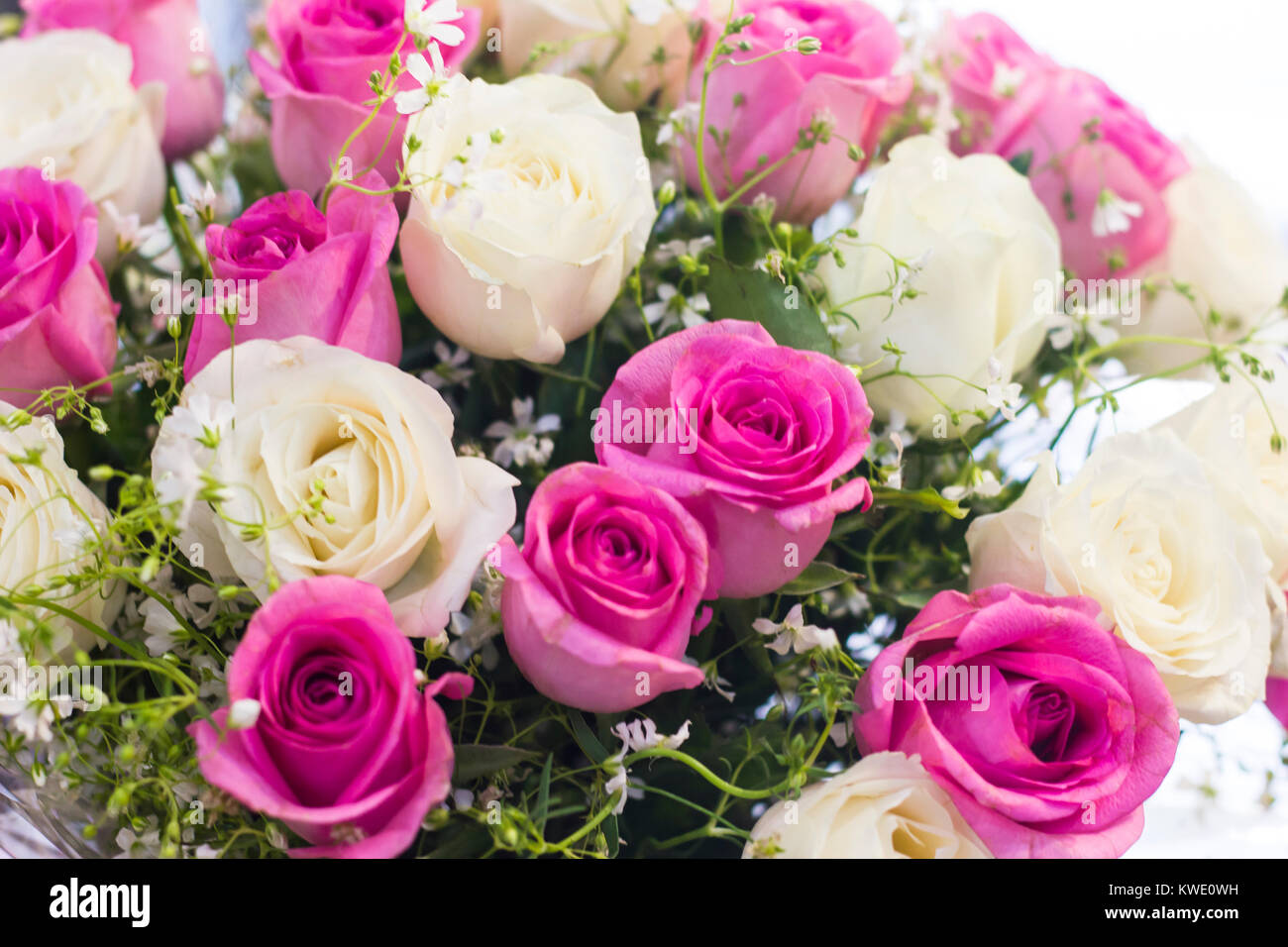 Beautiful bunch of roses Stock Photo - Alamy