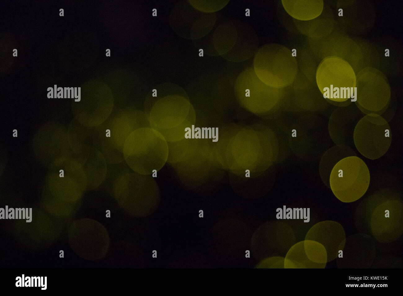 The Fireflies (Lampyridae) lighting up the trees just before the ...