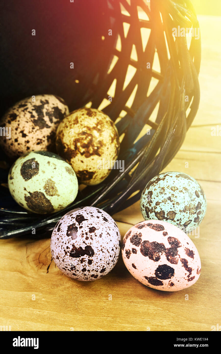 Colored mottled eggs of a quail in the basket Stock Photo - Alamy
