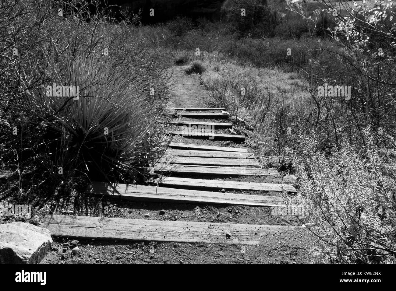 Redrocks hi-res stock photography and images - Alamy