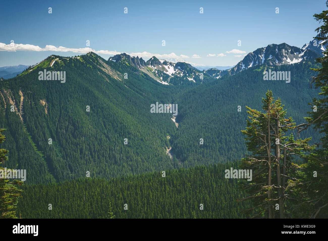 Mount Rainer National Park High Resolution Stock Photography and Images ...