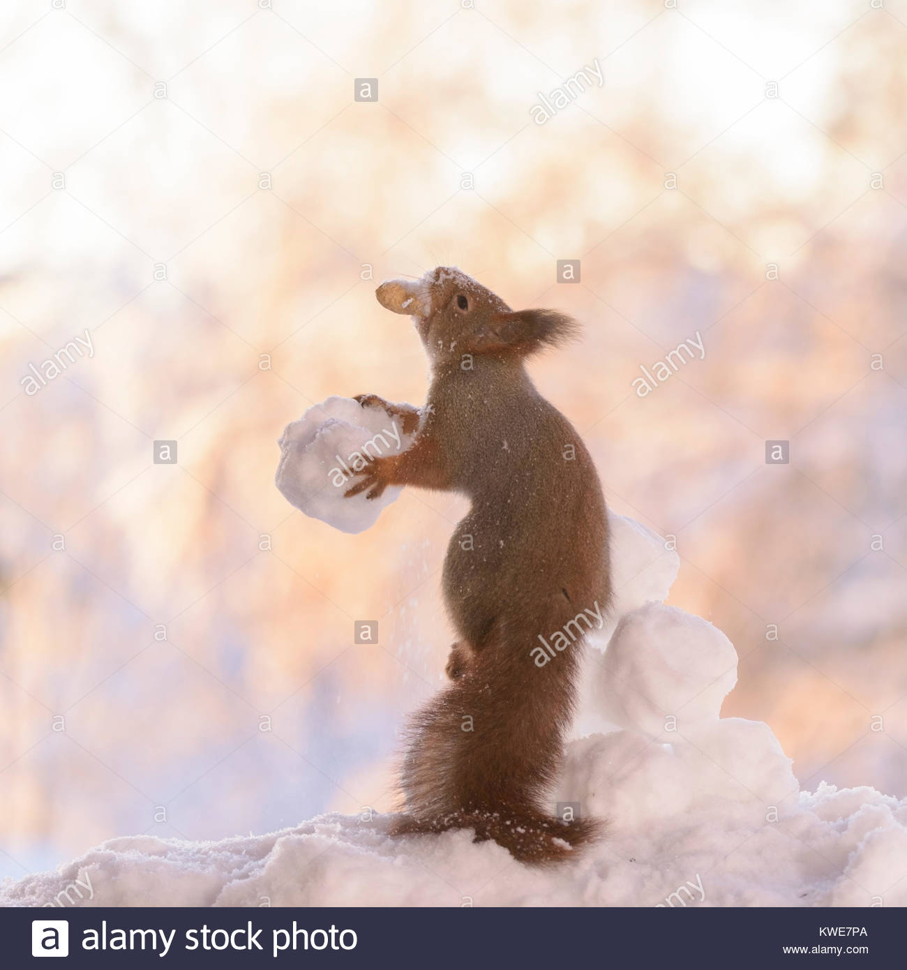 Hypnosis Eye High Resolution Stock Photography and Images - Alamy