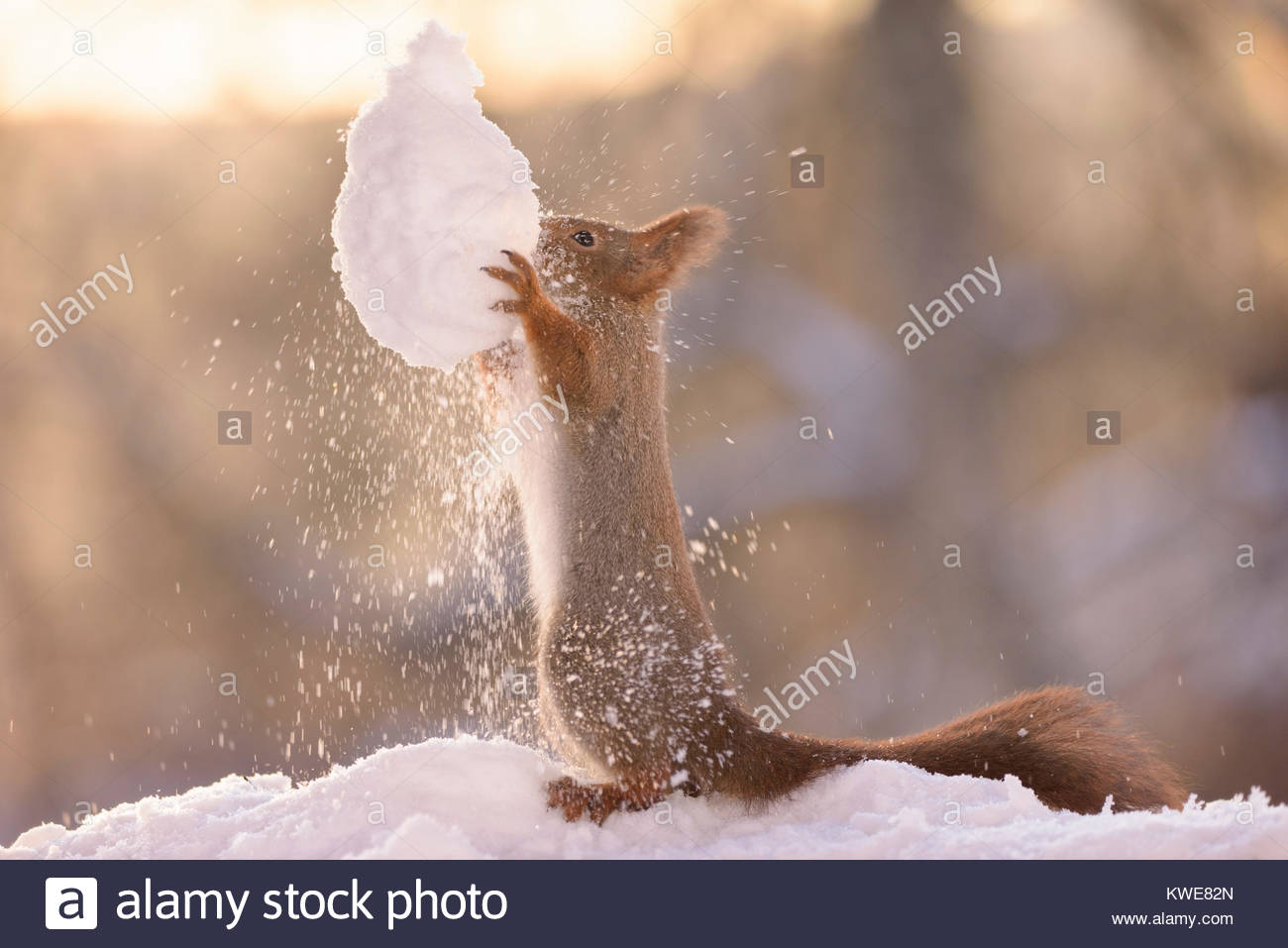 Hypnosis Eye High Resolution Stock Photography and Images - Alamy