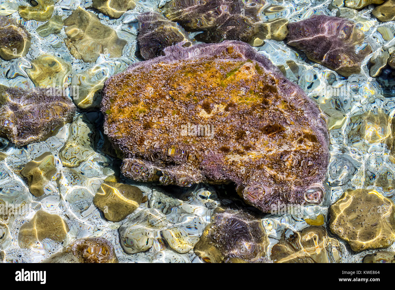 color stones on the seabed and small sea waves Stock Photo - Alamy