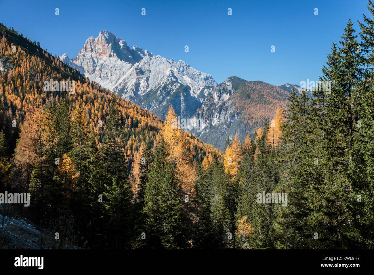 The Dolomite Alps with fall foliage color near Auronzo di Cadore ...