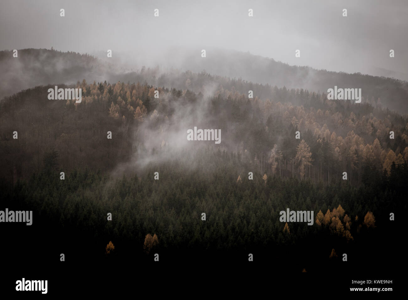 autumn wild landscape with mist Stock Photo - Alamy