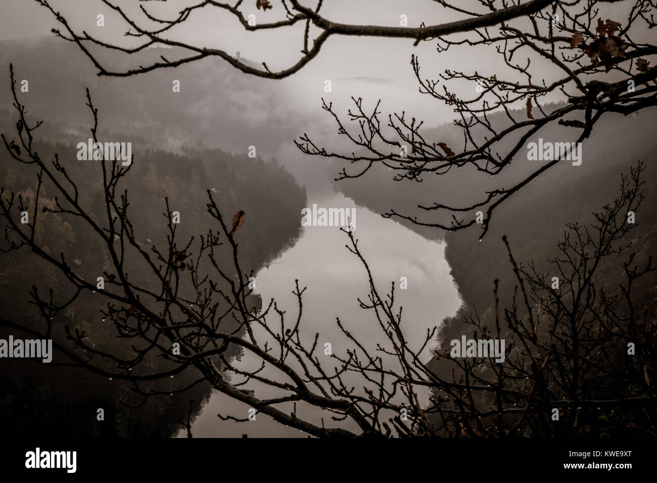 autumn wild landscape with mist Stock Photo - Alamy