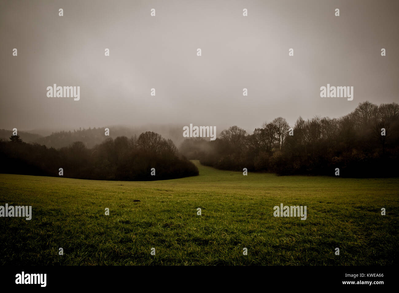 autumn wild landscape with mist Stock Photo - Alamy