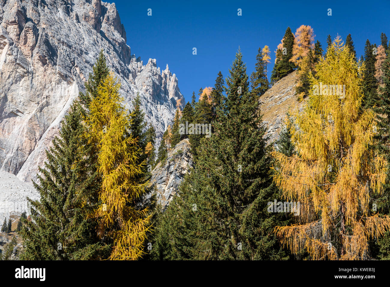 The Dolomite Alps with fall foliage color near Auronzo di Cadore ...