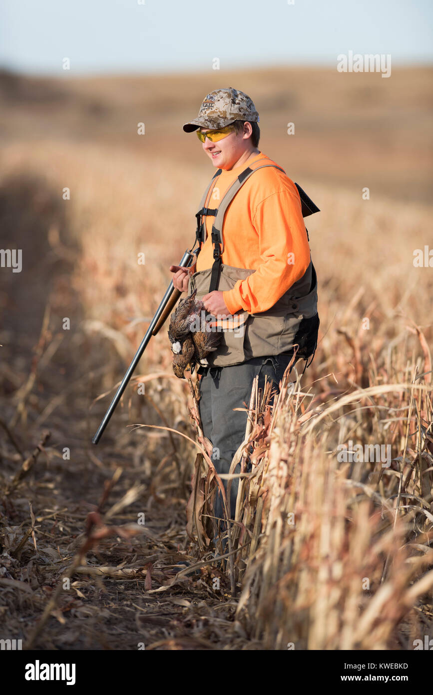 A young Quail hunter in Kansas on a late Autumn day with Bobwhite Quail ...