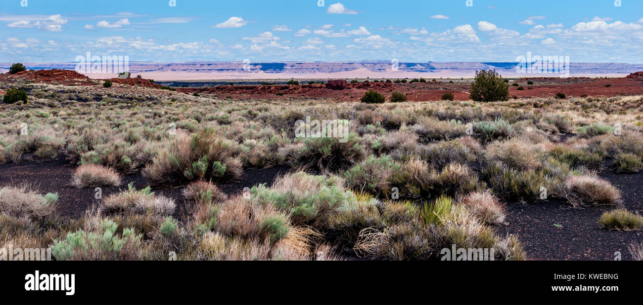 Painted Desert Arizona, Desert Landscape, Sunset Crater Scenic Drive ...