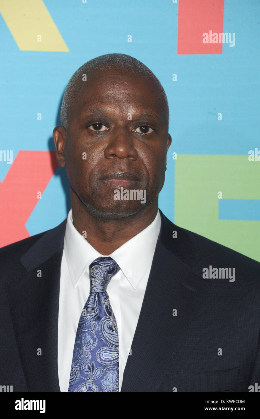 NEW YORK, NY - MAY 12: Andre Braugher attends the FOX 2014 Programming ...