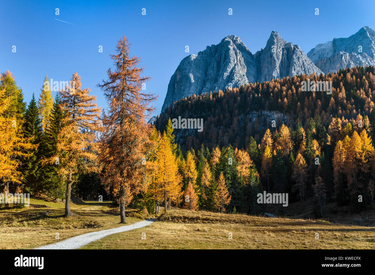 The Dolomite Alps with fall foliage color near Auronzo di Cadore ...