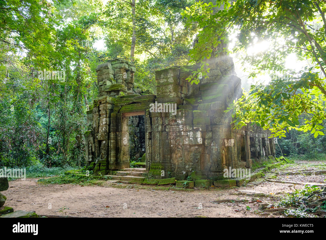 The Temples of Ta Prohm in the morning light Stock Photo - Alamy