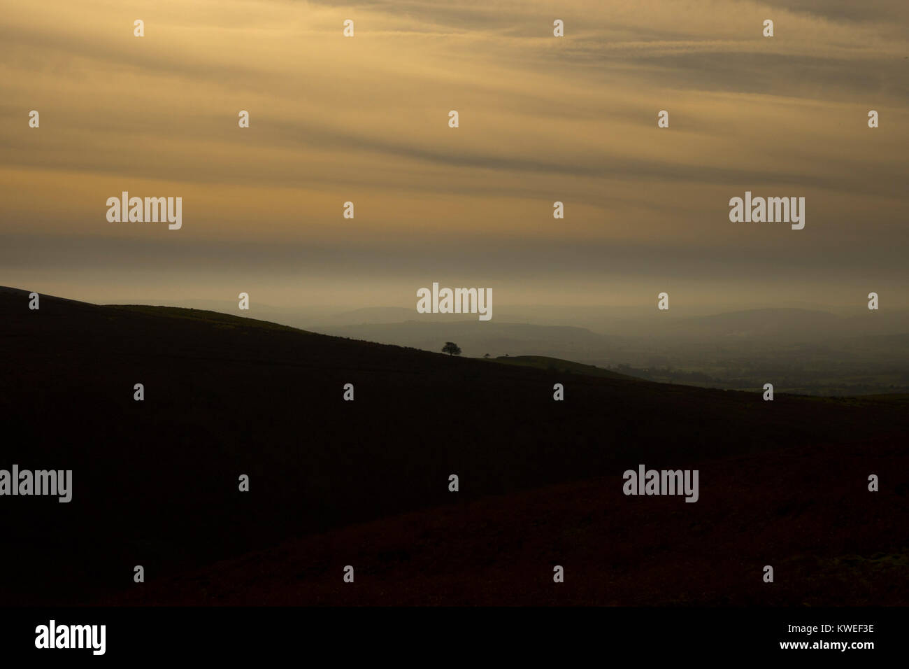 Wild moor, Bilbatch, The Long Mynd, heath, moorland plateau, Shropshire ...