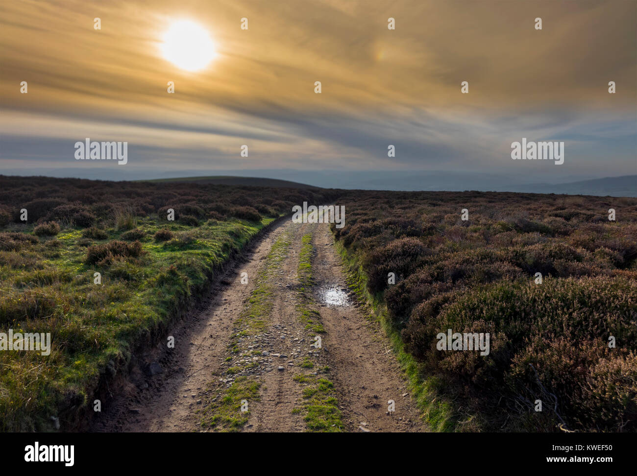 The Long Mynd, heath, moorland plateau, Shropshire Hills, England,UK ...