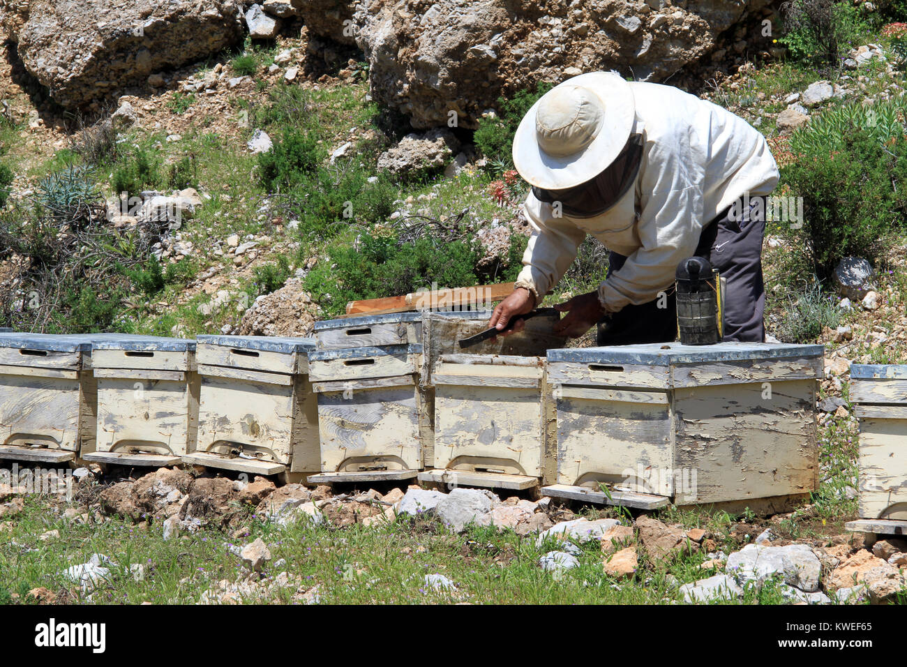 Turkish farm hi-res stock photography and images - Alamy
