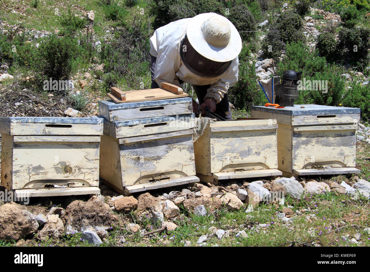 Beekeeper and beehives on the farm in Turkey Stock Photo - Alamy