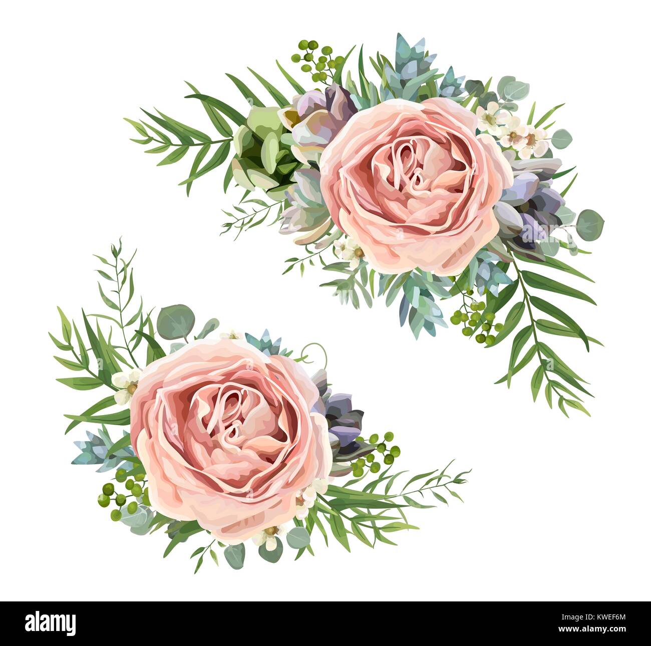 Set berry leaves flower hi-res stock photography and images - Alamy