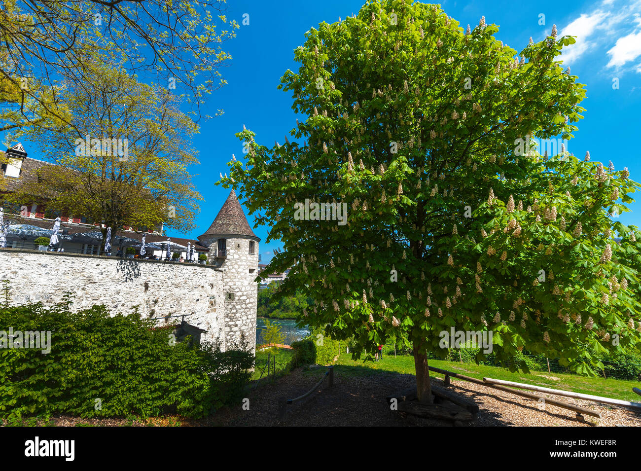 Laufen castle hi-res stock photography and images - Alamy