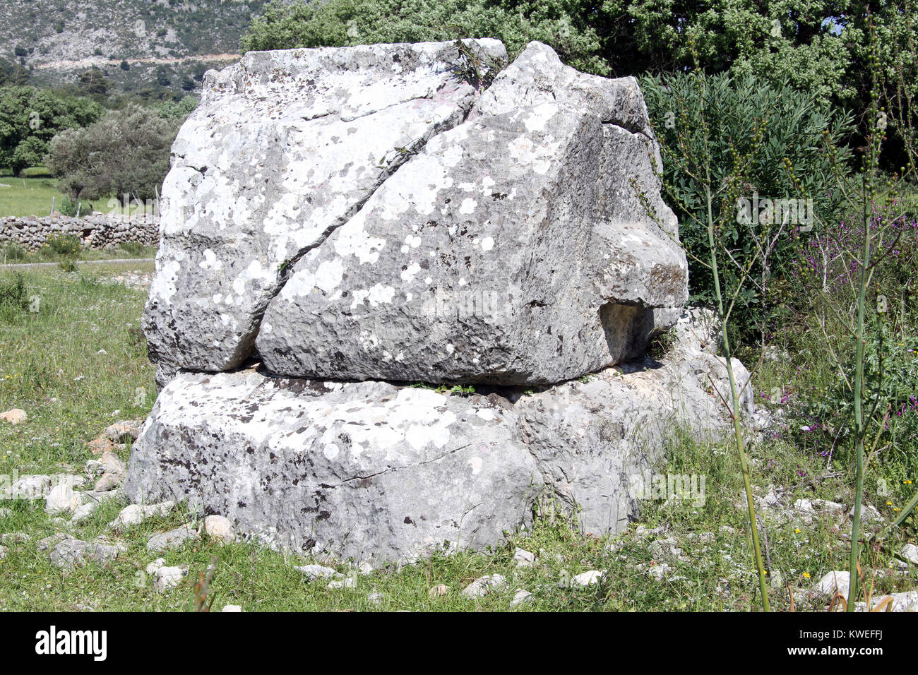 Big stone Licean sarcophagus snd green field in Turkey Stock Photo - Alamy