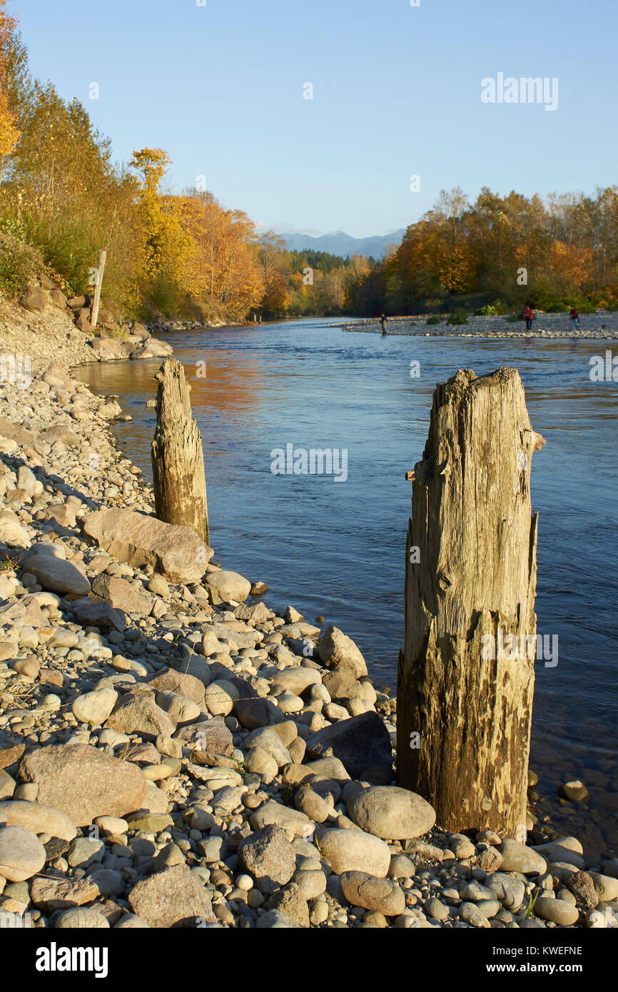a bend in the snoqualmie river near fall city washington state with ...